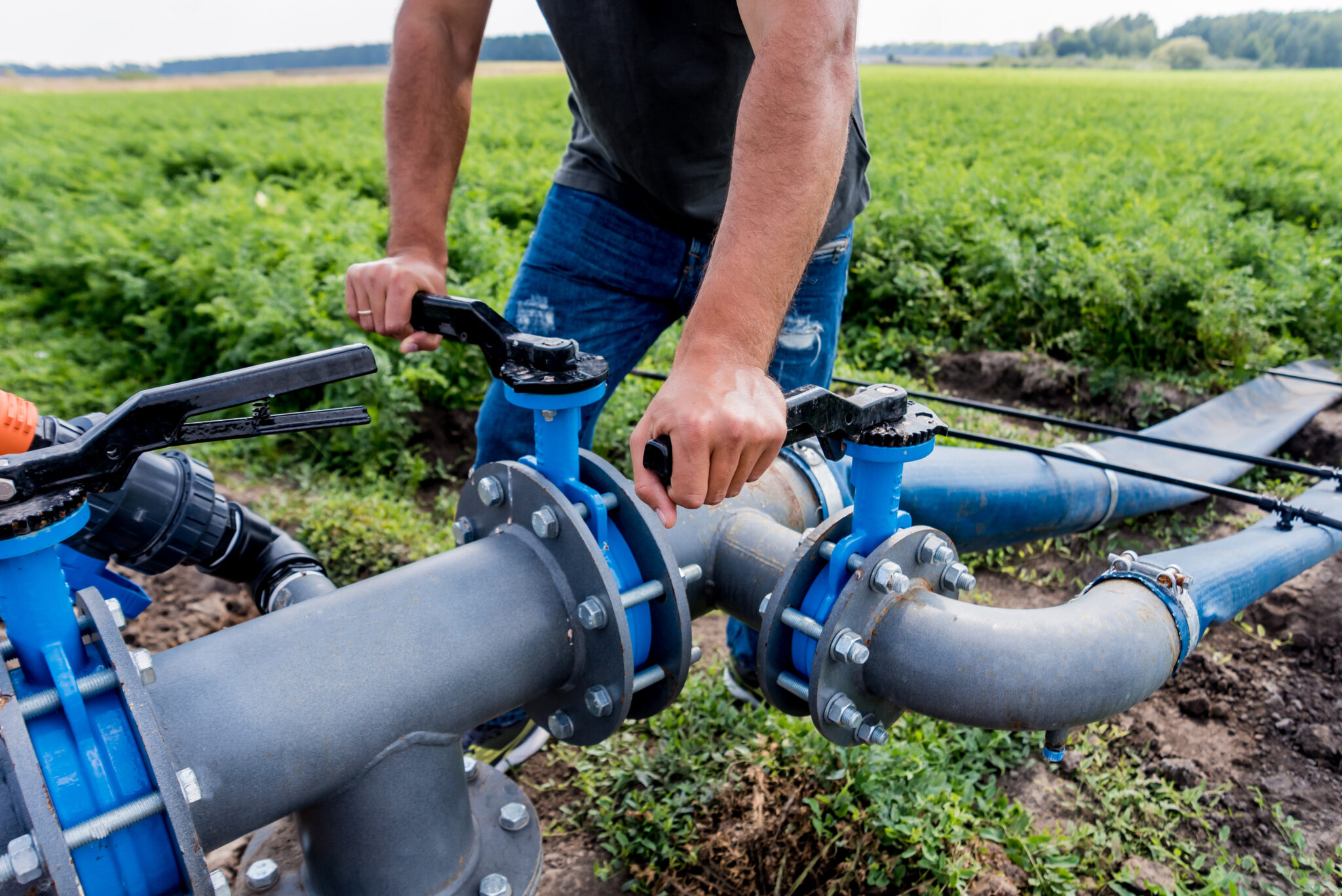Top Climate Change Adaptation Projects Around the World