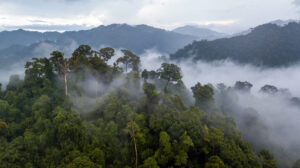 Climate Change Adaptation Examples: How the World is Changing