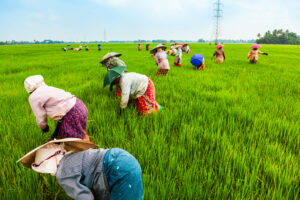 Climate Change Adaptation vs Mitigation: What's the Difference