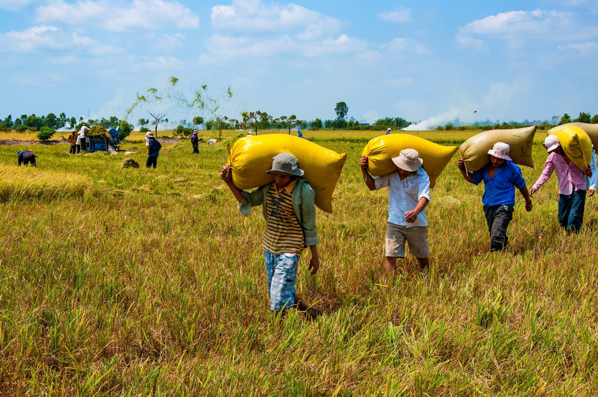 Top Climate Change Adaptation Projects Around the World