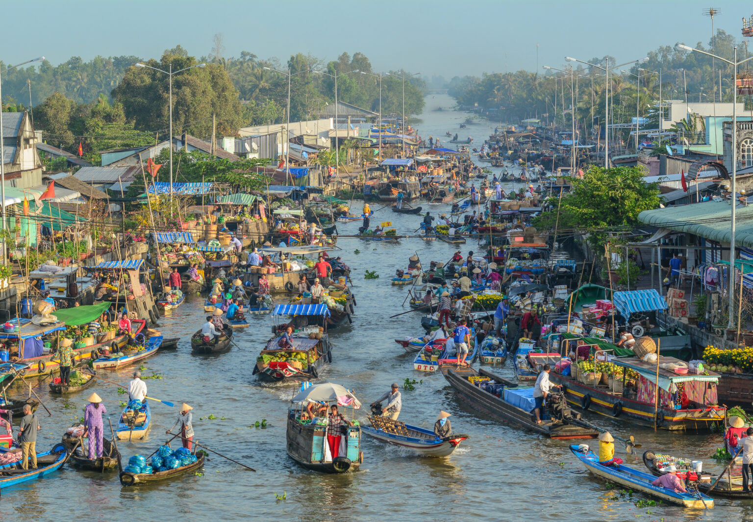 Climate Change Adaptation vs Mitigation: What's the Difference
