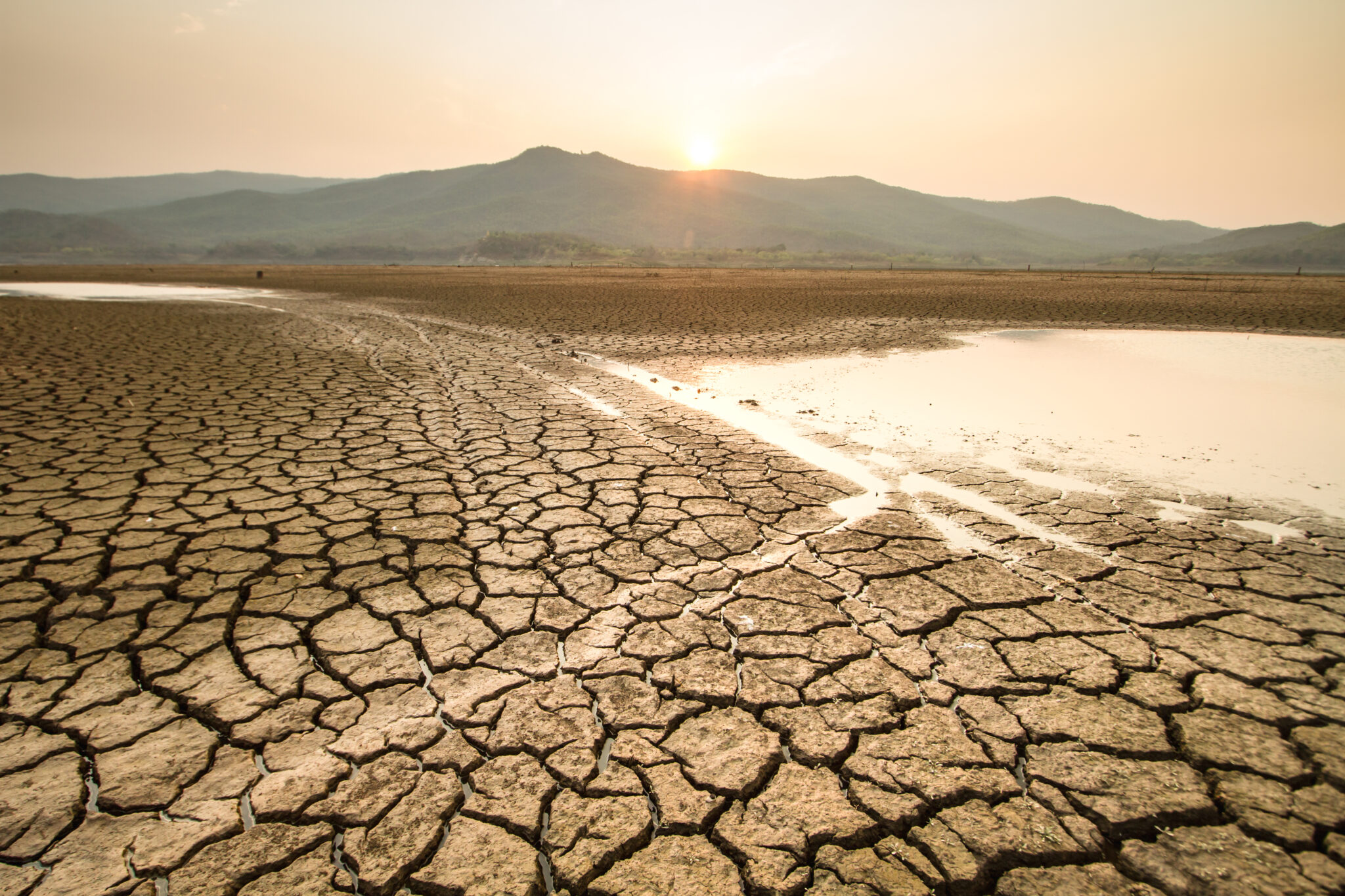 The 2025 Heatwave in Southeast Asia: A Window Into the Future