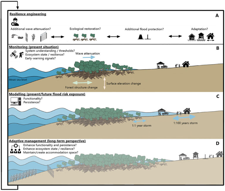 Preventing Sea Level Rise: Strategies and Solutions