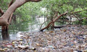 Plastic Pollution in the Philippines: A Call For Urgent Action