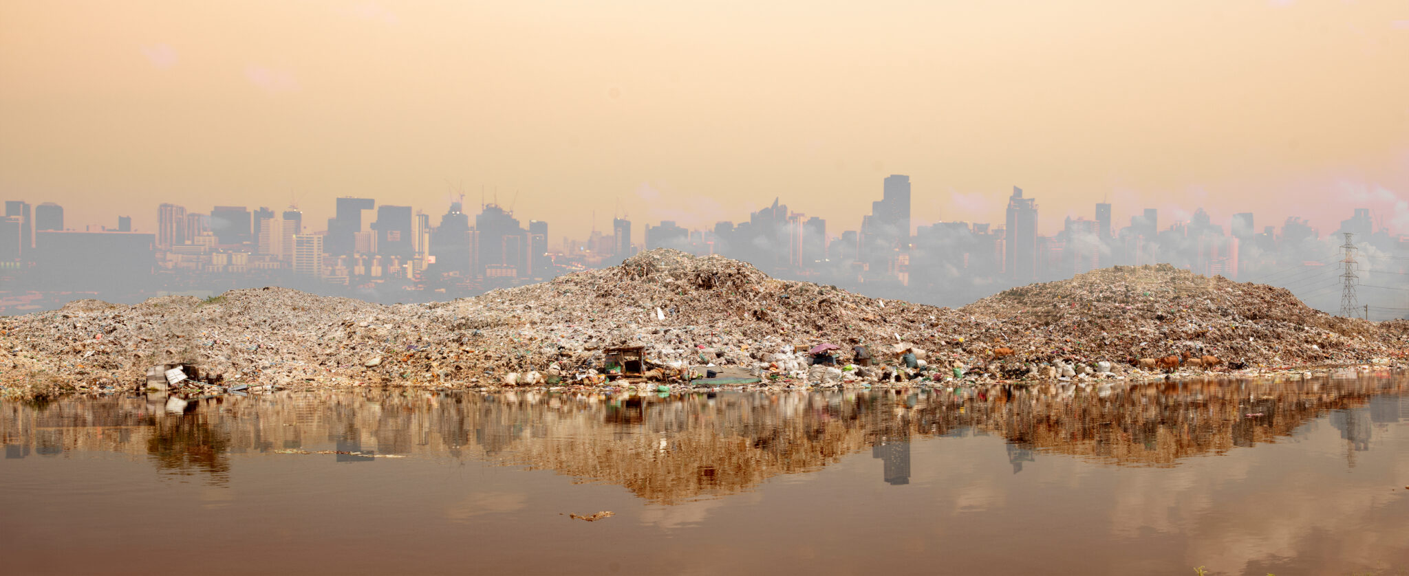 10 Human Activities Affecting the Environment