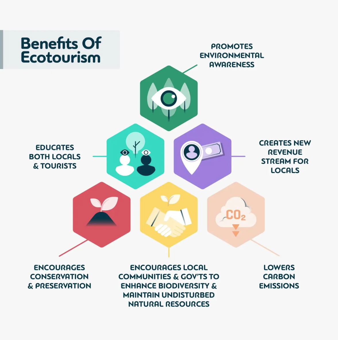 What Is Ecotourism? A Climate-smart Travel Revolution