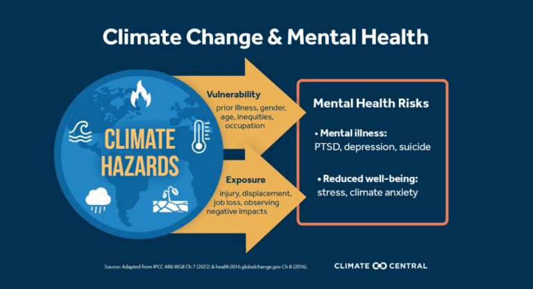 Climate Anxiety Explained: A Warming Planet And Mental Health Crisis